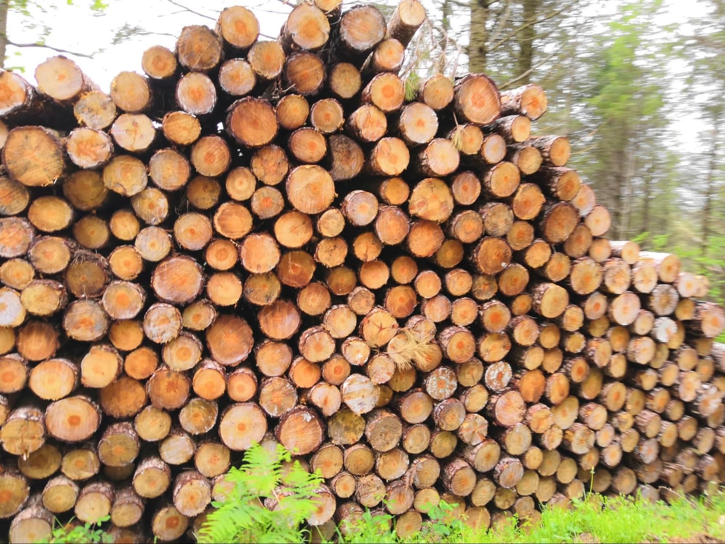 Découvrir Castans - Mairie de Castans