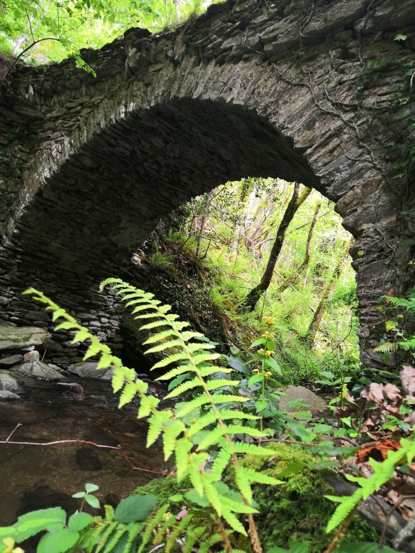 Découvrir Castans - Mairie de Castans